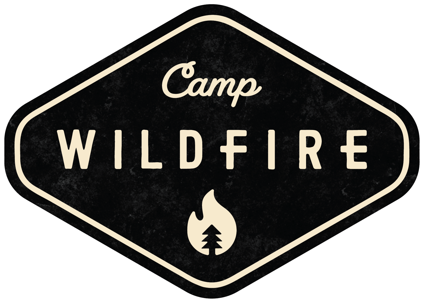 Camp Wildfire - application form